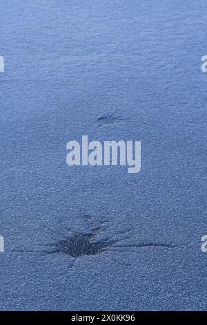 Ice Cracks and Patterns on Frozen Lake Stock Photo - Alamy