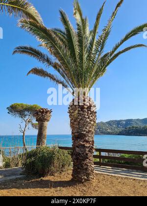 Canyamel bay at Mallorca, Spain Stock Photo - Alamy