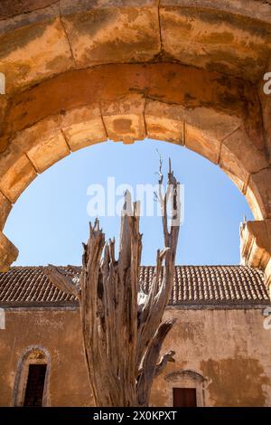 Old tree, Arkadi Monastery, national monument, monastery, Crete ...