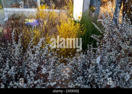 Easter, Viktualienmarkt, Munich, palm branches Stock Photo - Alamy