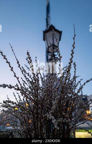 Easter, Viktualienmarkt, Munich, palm branches Stock Photo - Alamy