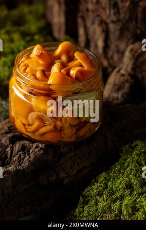 Marinated mushroom - small honey agaric in the bowl Stock Photo - Alamy