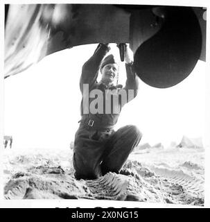 ITALY : EIGHTH ARMYTHE "DUCKS" GET THROUGH - Unloading ammunition at ...