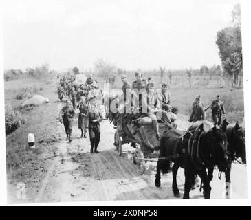 CHETNIKS SURRENDER - Chetnik transport, mostly horse-drawn, on the move ...