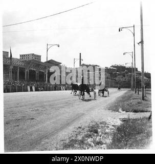 NEW ZEALAND DIVISION TROTTING MEETING - Lieut. General Sir B.C ...