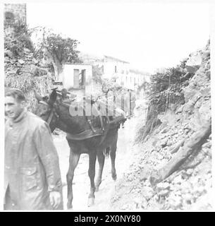 Men of the newly-formed mule company lead pack mules through the ruins ...