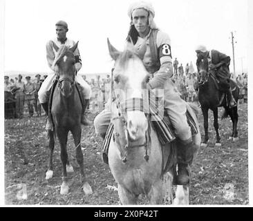 N. AFRICA (BEJA) RACE MEETING - British officers watch the races from ...