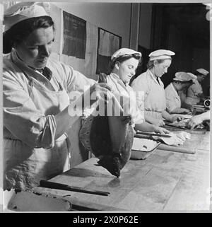Cadets at Halton School of Cookery are shown post-training working at ...
