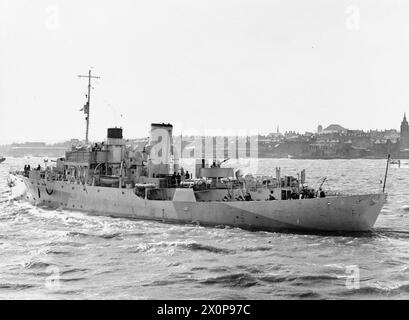 HMS COLUMBINE, BRITISH FLOWER CLASS CORVETTE. 28 APRIL 1942, TILBURY ...