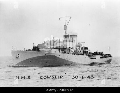 British Flower Class Corvette HMS Campunala Stock Photo - Alamy