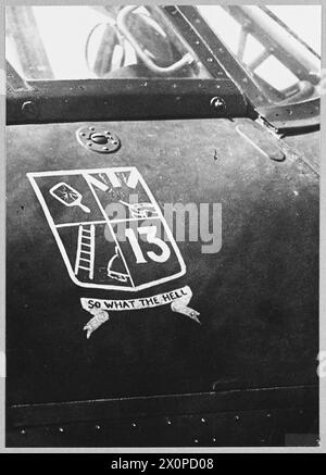 New Zealand coat of arms including a Female Argent flag bearer and a ...