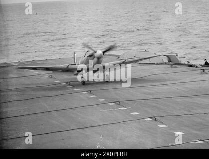 THE SUPERMARINE SEAFIRE: BRITISH NAVY'S NEW FIGHTER AIRCRAFT. 5 TO 12 ...