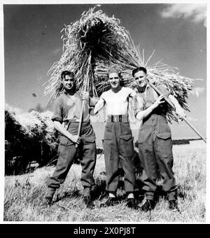 TROOPS HELP FARMERS WITH HARVEST - The troops cheerfully helped the ...