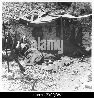 ISLAND OF VIZ and A DAY IN THE LIFE OF A PARTISAN GIRL - Morning P.T ...