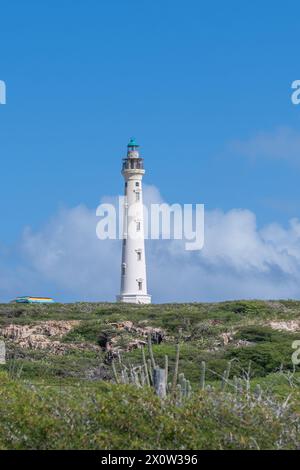Baby Beach Aruba - infinity pool in foreground Stock Photo - Alamy