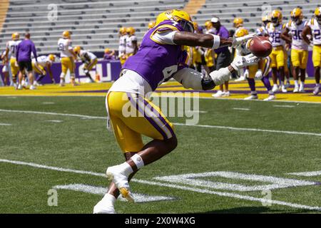 LSU linebacker Harold Perkins Jr. (7) smiles before an NCAA football ...