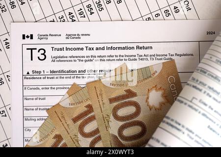 Canadian T3 tax form Trust income tax and information return lies on ...