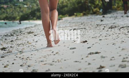 seagulls next to the ocean Stock Photo - Alamy
