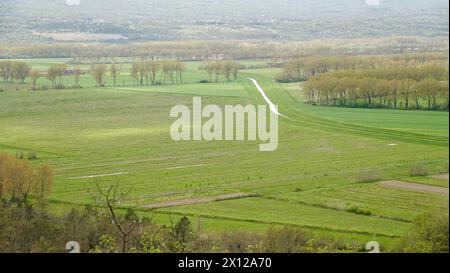 beautiful panoramic view of the greenery of Chepichko Field, Istria ...