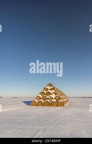 snow-covered straw stacks , winter landscape with straw in stacks after ...