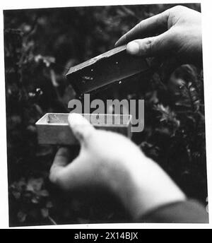 SPIDERS WEB IN USE BY THE ARMY - Placing of spider in box. Spiders are ...