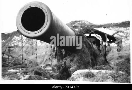 GUNS AT DOVER - "Winnie" of Winnie and Pooh, they two 14 railway guns ...