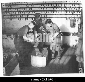 SCOTTISH CAVALRY TRAINING SCHOOL - Recruits of from two to five months ...