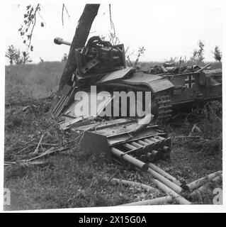 ITALY : THE ADVANCE THROUGH THE GUSTAV LINE - German tanks knocked out ...