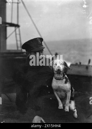 On Board the Destroyer HMS Cossack during Torpedo and Anti-submarine ...