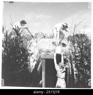 SOLDIER GARDENERS - ATS at work in their vegetable garden , British ...
