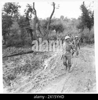 ITALY : EIGHTH ARMY FRONTSANGRO RIVER FRONT - Sherman tanks moving up ...