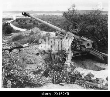 A captured German 75 mm anti-tank gun is deployed by the 6th Battalion ...