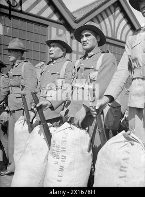 Officers of the 28th (Maori) Battalion, New Zealand Expeditionary Force ...