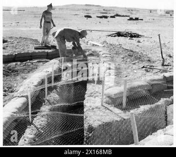 Troops in the Western Desert are digging new trenches, as recorded in ...