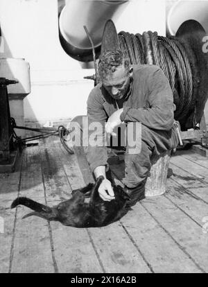 HMS Howe, flagship of Admiral Bruce Fraser, C in C British Pacific ...