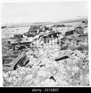 Destroyed German Panzer III tanks are shown near Bou Arada during the ...