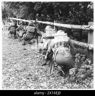 A WOODLAND EXERCISE - A patrol by the edge of a wood, British Army ...