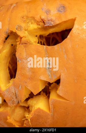 rotting pumpkin head for halloween, carved from pumpkin frightening ...