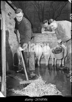 Pig Food- Pig Clubs in Wartime London, 1943 Policemen who have formed a ...
