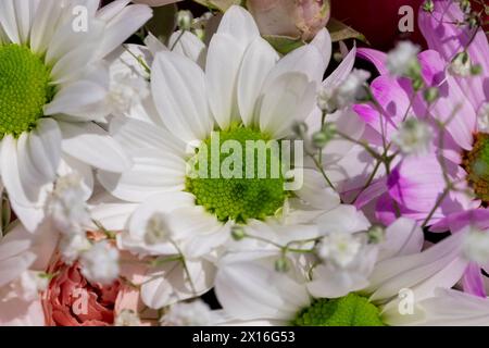 a beautiful bouquet combined with different flowers, a festive bouquet ...