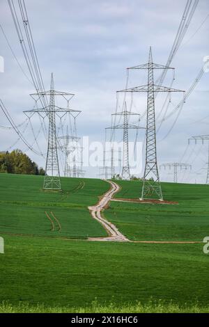 Limbach Oberfrohna, Germany. 15th Apr, 2024. Several 110 KV high ...
