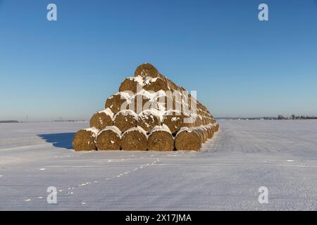 snow-covered straw stacks , winter landscape with straw in stacks after ...