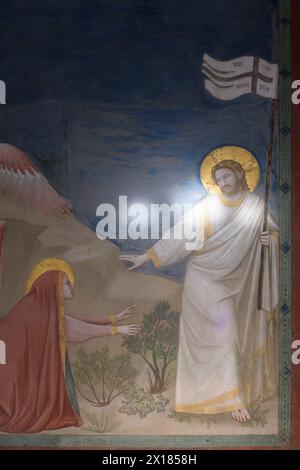 Noli me tangere. Museum: Cappella degli Scrovegni, Padua. Author ...