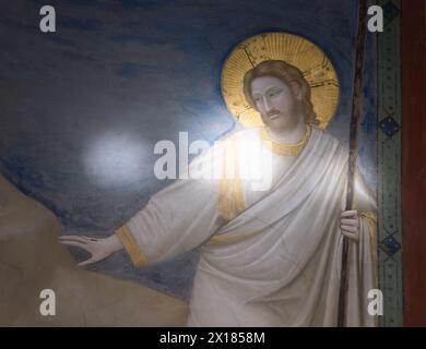 Noli me tangere. Museum: Cappella degli Scrovegni, Padua. Author ...