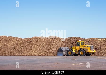 Loading machine at large piles of wood chips at a loading area Stock ...