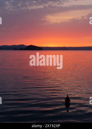 Buoy on a lake at sunset Stock Photo - Alamy