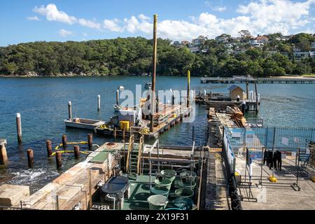 Chowder Bay Sydney Australia, construction works underway to replace ...
