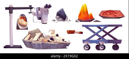 Scientist lab room with dinosaur fossil vector. Archaeologist ...