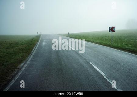 An asphalted country road leads through green meadows to the horizon in ...