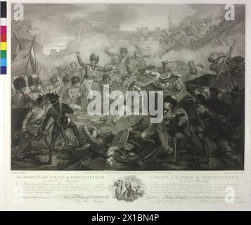 battle between two kings on the board Stock Photo - Alamy